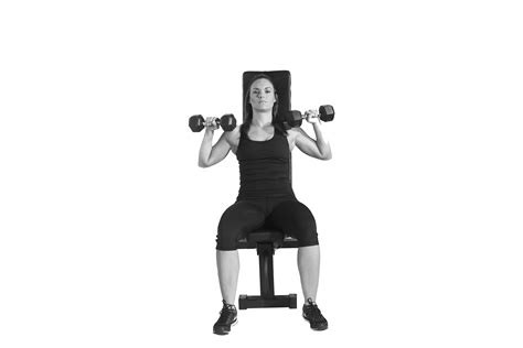 Seated Dumbbell Exercises