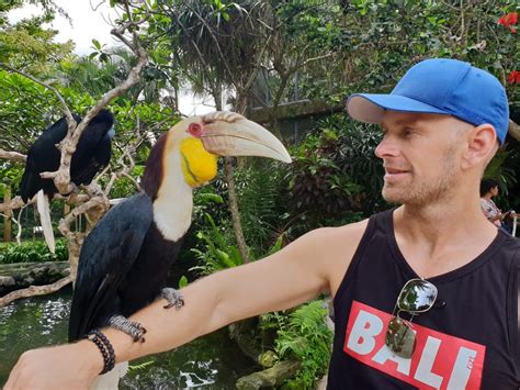 What Eats A Leopard What Do Leopards Eat Earth Life