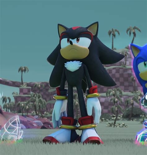 Pin By Drop My Drops On Posts Shadow Theme Shadow The Hedgehog Sonic And Shadow