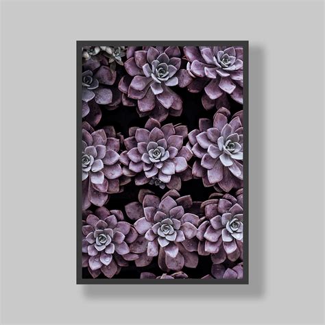 Annie Spratt Gsqbip5hhuc My Walls