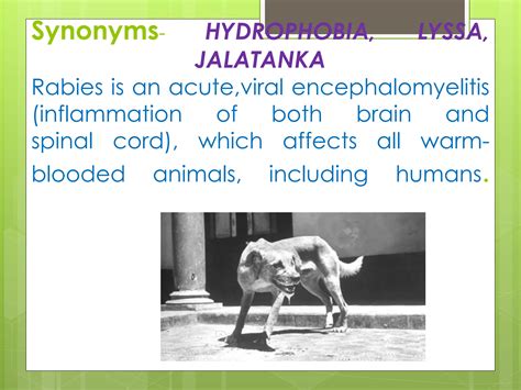 Rabies Pathology Rabies Causes Treatment Pdf