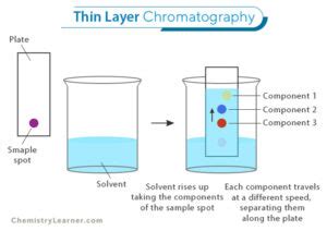 Chromatography Definition Principles Types And Applications