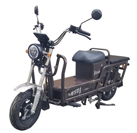 金箭牌jj600dqt 72电动两轮轻便摩托车图片公告图片 王力汽车网