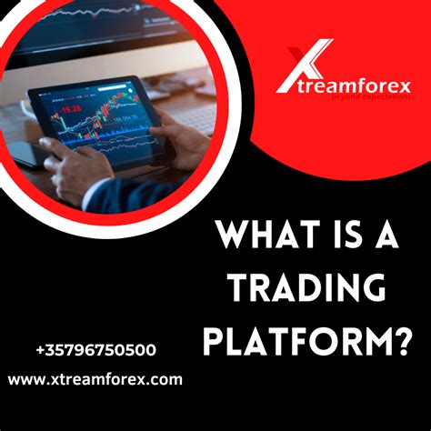 What Is The Best Leverage For Your Forex Trading Strategy Tammana Medium