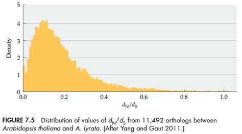 分子群体遗传（九） 定向选择 知乎