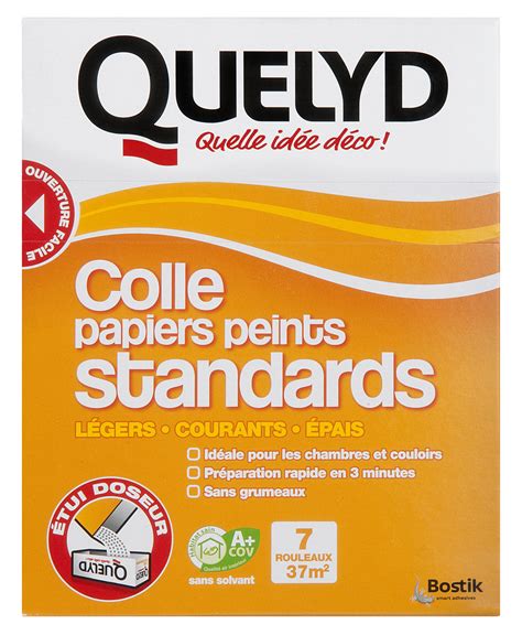 Colle Papiers Peints Standard En Poudre 250 G Quelyd Bricoman