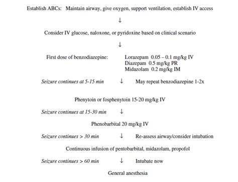 Emergency Management Of Paediatric Seizures Emergency Medicine Kenya