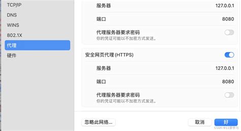 burp suite安装及汉化过程 burpsuite汉化 csdn博客