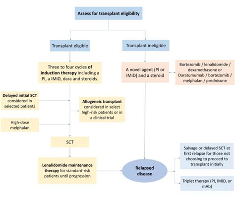 Flow Diagram For General Multiple Myeloma Treatment Download Scientific Diagram