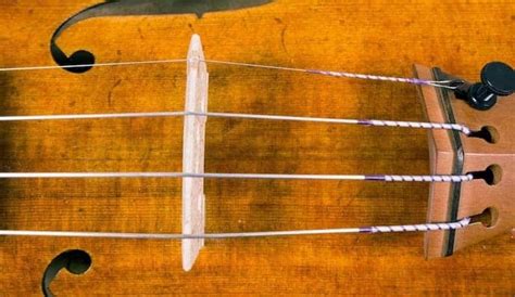 Viola Open Strings RED Diagram Quizlet