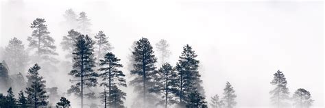 Студия английского языка Gre English Online уроки английского языка для взрослых и детей