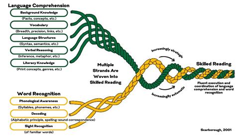 Scarboroughs Rope Literacy Engagement Action Project