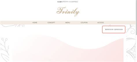 Wordpressテーマcocoonで固定ページの日付を消したい時！