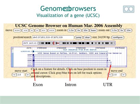 Ppt Visualization Of Genomic Data Powerpoint Presentation Free