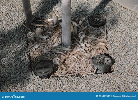 Watering System Deliver Water Across All Levels Of The Root Zone Stock Image Image Of Brown