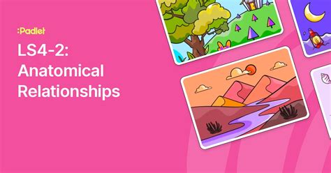 Ls4 2 Anatomical Relationships