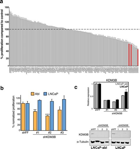 Knockdown Of Various Chromatin Modifying Enzymes Impacted Proliferation Download Scientific
