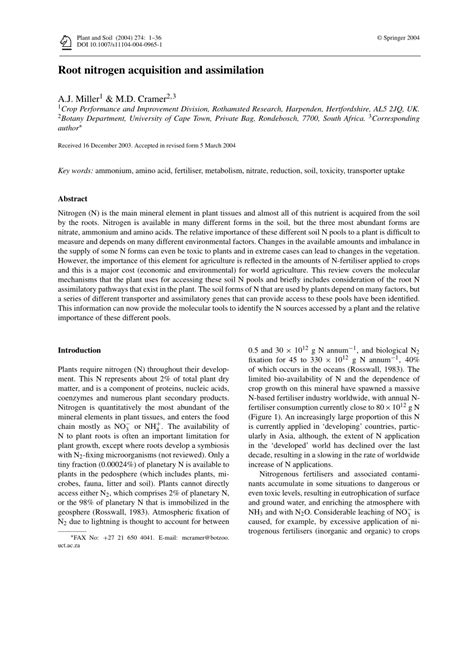 Pdf Root Nitrogen Acquisition And Assimilation