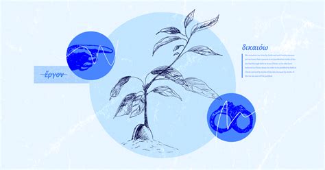 Examples Examples Of