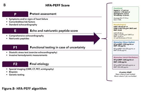 Heart Failure With Preserved Ejection Fraction