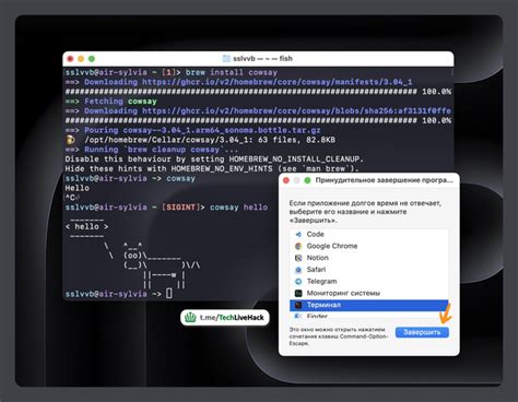 Как принудительно закрыть приложение на Macos 11 02 24 17 24 Пикабу