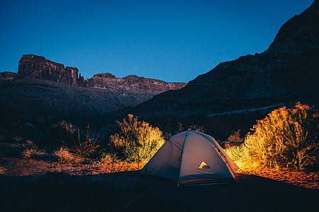 Free Photo Duckboards Nature On The Road Camping Nature Photo
