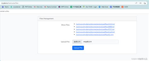 Laravel 8 文件的上传下载显示的实例 Csdn博客