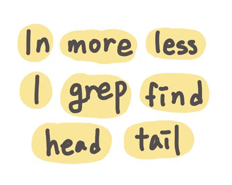 리눅스 2 기초 명령어2 Ln More Less Grep Head Tail Find 공부 기록