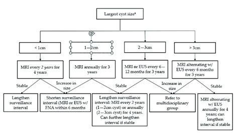 Surveillance Guidelines For Mucinous Pancreatic Cysts Adapted From The Download Scientific