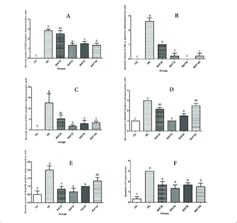 Statistical Bar Graph Of Severity Scores Of Immunoreactive Cells In All