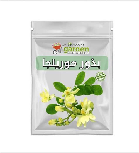 بذور مورينجا للزراعة المنزلية بلكونة جاردن