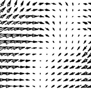 Vector Field Obtained By Interpolation Extrapolation Techniques Download Scientific Diagram