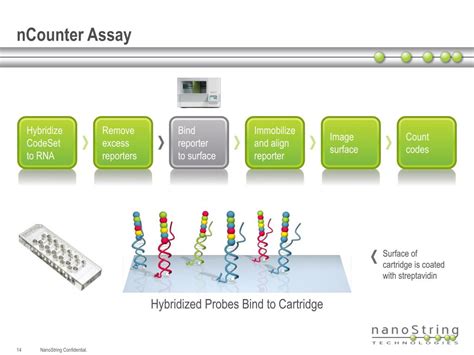 Ppt Multiplex Digital Nucleic Acid Quantitation Using Molecular Barcodes Powerpoint