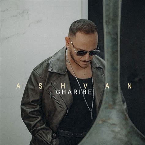 دانلود آهنگ تو رفتی و دلم غمین شد از ایرج بسطامی با متن فرمت Mp3