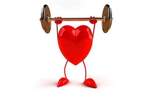 آثار ورزش در سبک زندگی سالم