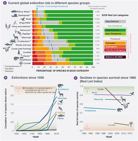 123 Rates Of Extinction Biology Libretexts