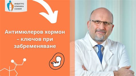 Антимюлеров хормон ключов при забременяване Youtube