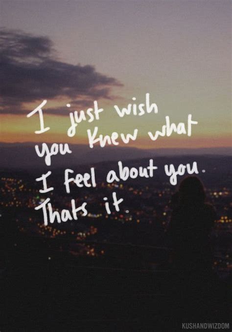 Wish I Could Tell You Quotes Quotesgram