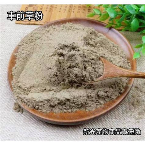 【柚樂木】車前草粉 100g 車前草 車輪菜 豬耳朵棵 五更草 田灌草 車軲轆草 牛舌草 精力湯 綠拿鐵 蝦皮購物