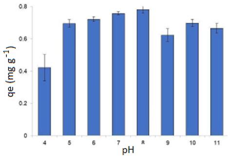 Action Of Low Density Polyethylene Microspheres In The Transport Of