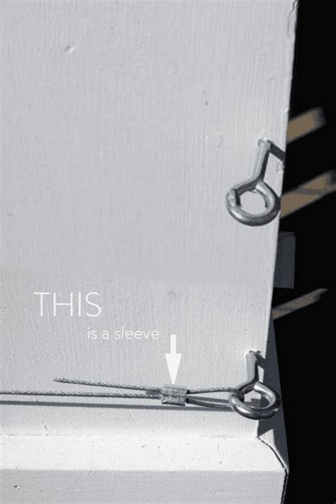 6 In 1 Apple Tree One Tree SIX Varieties Of Apples