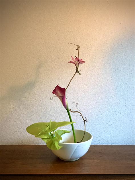 One Of My First Tries Rikebana