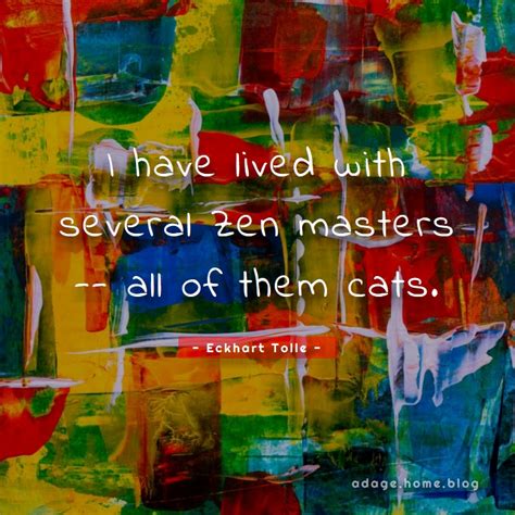 I Have Lived With Several Zen Masters — All Of Them Cats Adagehomeblog