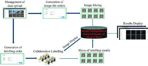 Technical Flow Diagram Of Automaticsemi Automatic Combined Labeling