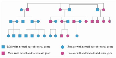 Inheritance Multifactorial Inheritance