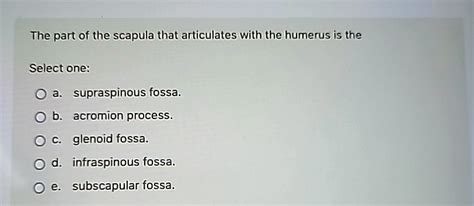 The Part Of The Scapula That Articulates With The Humerus Is The Select One Oa Supraspinous