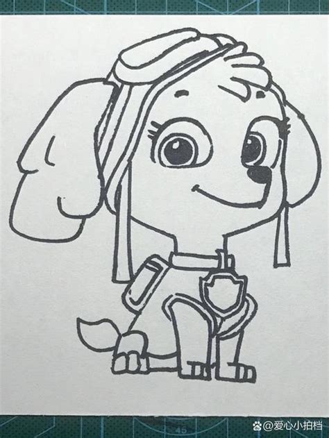 儿童画画大全汪汪队简笔画怎么画（汇总11张） 儿童画图片大全