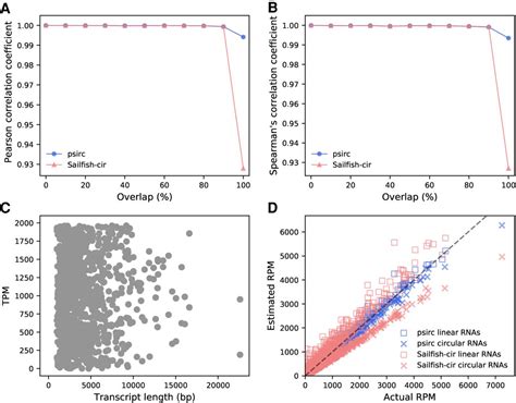 Quantifying Full Length Circular Rnas In Cancer