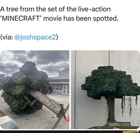 A Tree From The Set Of The Live Action Minecraft Movie Has Been Spotted Via Joshspace2