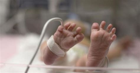 Francesca Frezza E La Protesta Contro Il Batterio Killer Bigodino